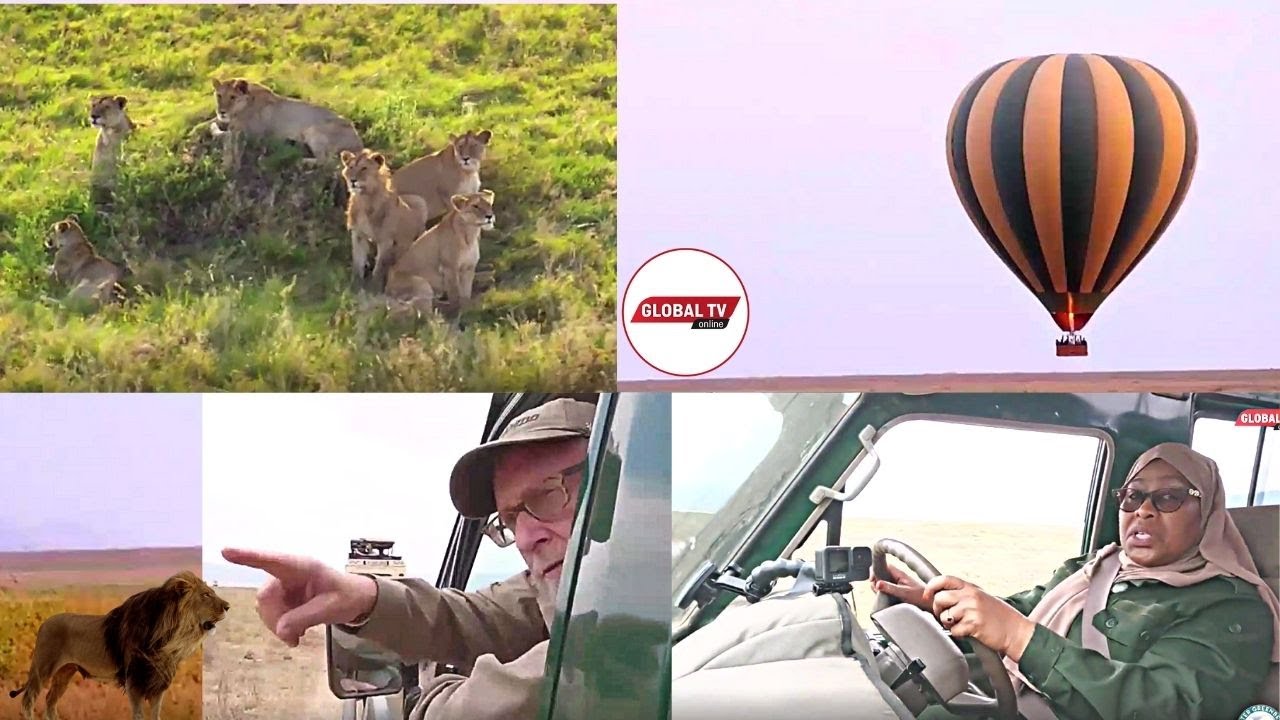 THE ROYAL TOUR: TAZAMA RAIS SAMIA ALIVYOKUTANA NA SIMBA SERENGETI HUKU ...
