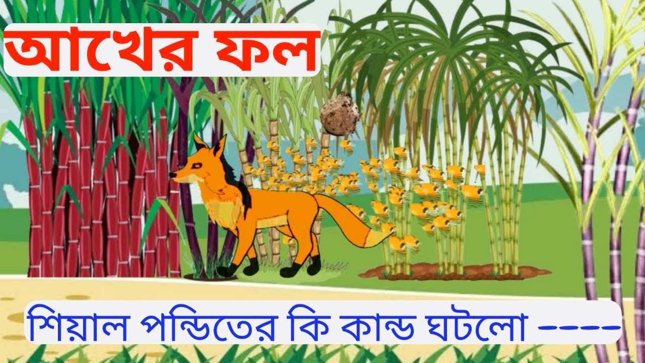 আখের ফল | বাংলা কাটুন গল্প | Vimrul And Jackal Cartoon History | - YouTube