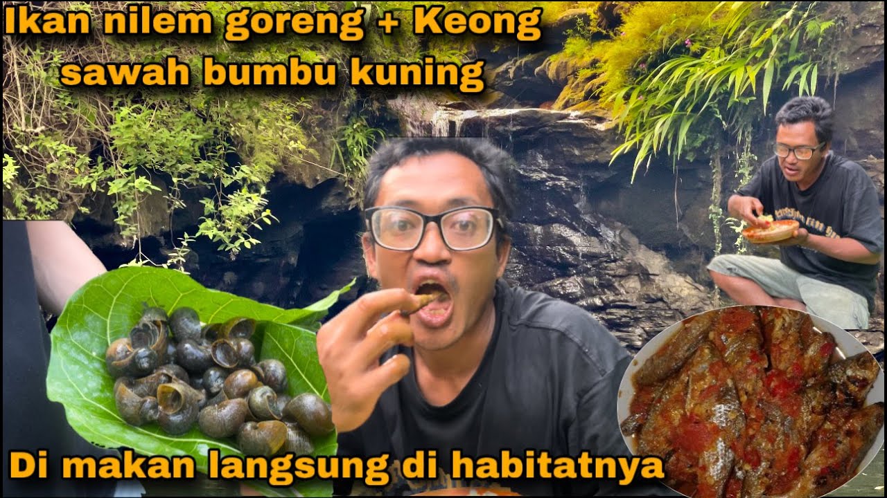 IKAN NILEM GORENG + KEONG SAWAH BUMBU KUNING HASIL TANGKAPAN BIKIN ...