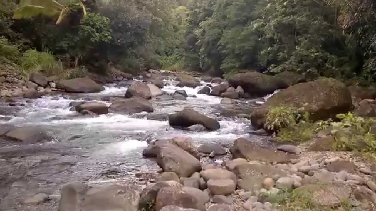 Pagua River Concord Dominica - YouTube