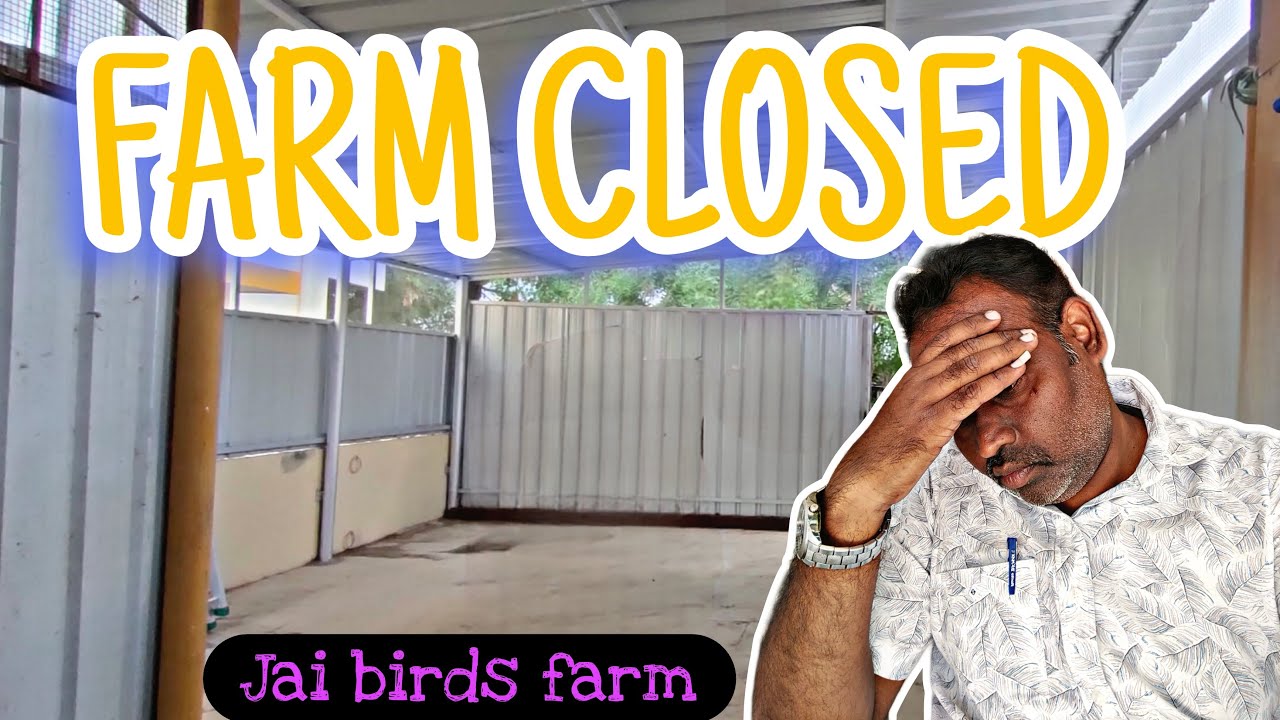 Farm closed 😭😭 / Jai birds farm - YouTube