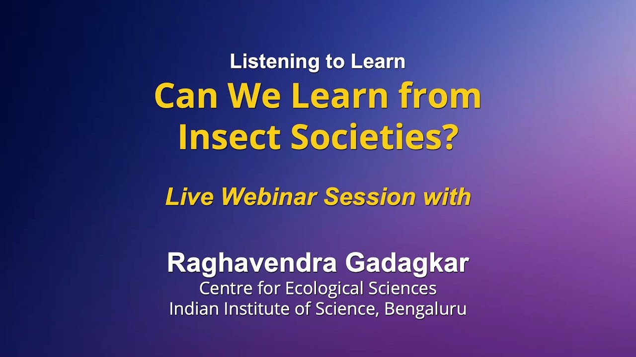 Listening to Learn : Can we learn from Insect Societies? - YouTube