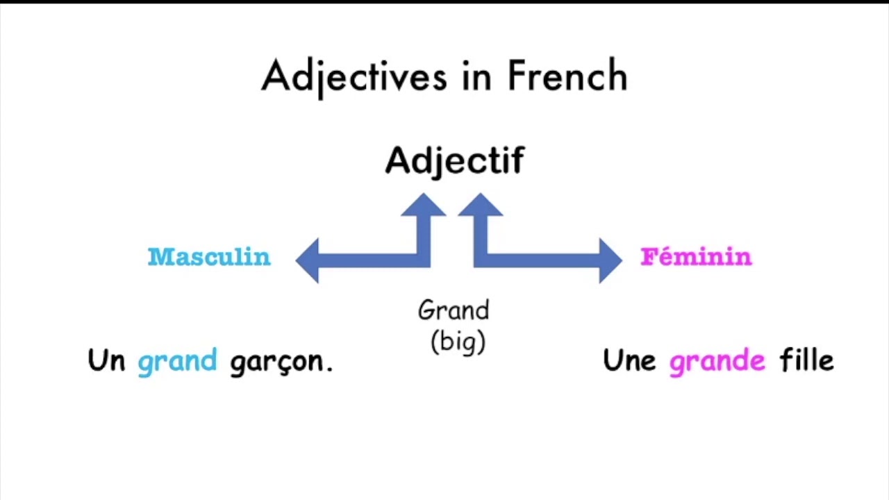 Adjectives in French - Les Adjectives Masculin et Féminin en Français ...