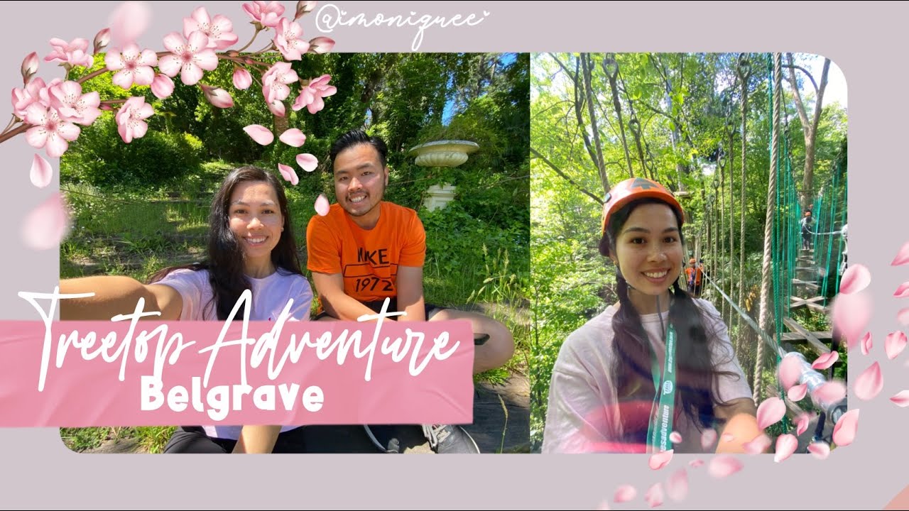 Tree Top Adventures | Belgrave 🌳 - YouTube