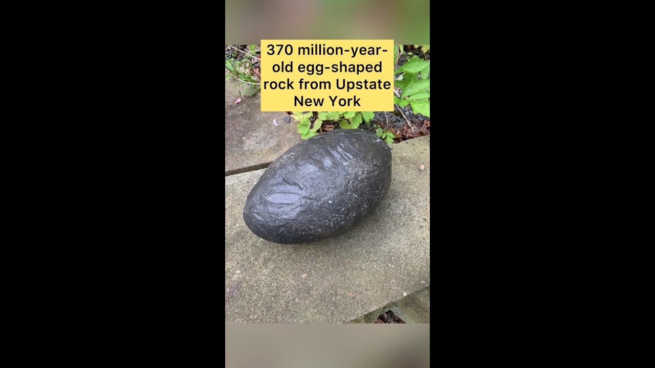 Is this egg-shaped rock any good? #shorts - YouTube