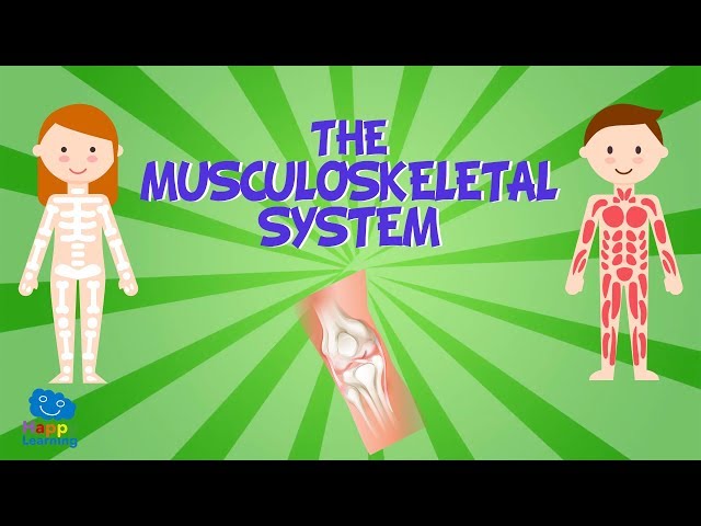 Science - The Musculoeskeletal Syste…: English ESL video lessons