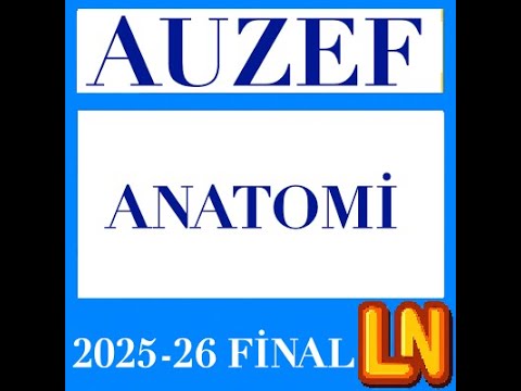 Anatomi 2025-2026 Final Soruları