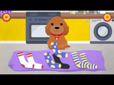 Waffle Meet Waffle, an adorable fluffy dog - YouTube