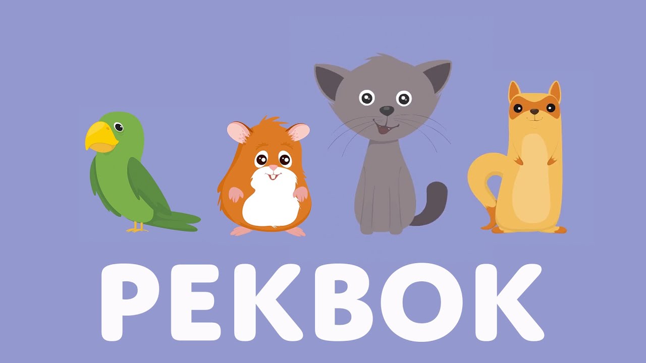 Pekbok Med Djur | Lär Dig Djurens Namn och Läten | Barnens ABC ...