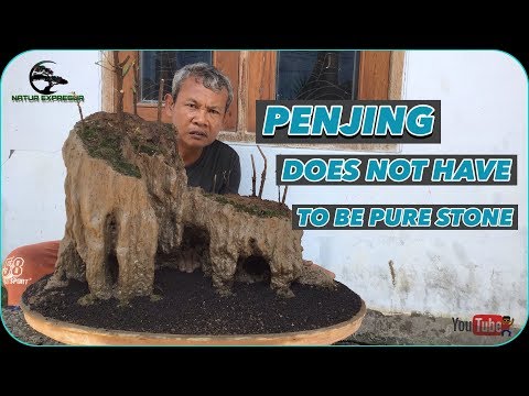 “TEKNIK PENJING DENGAN CARA YANG BERBEDA | Style Baru yang Belum Pernah Kamu Lihat!”