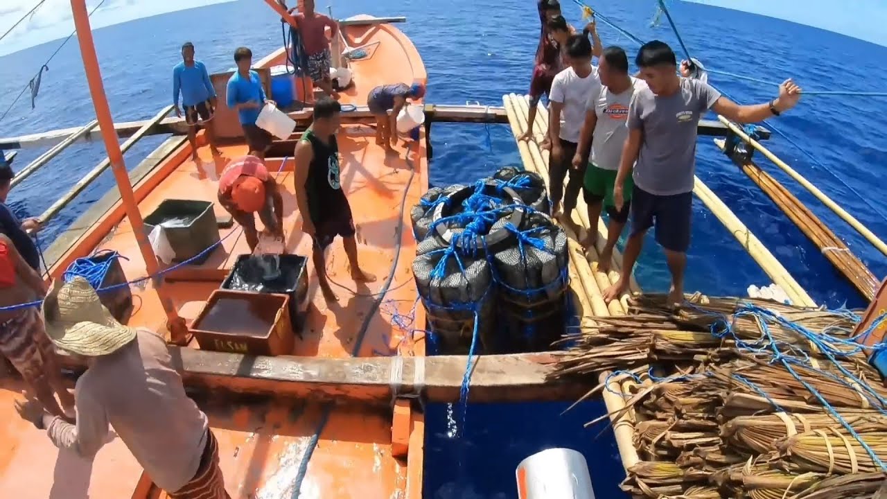 Paghuhulog ng Boya O Bayahan ng Isda sa Pacific Ocean - YouTube