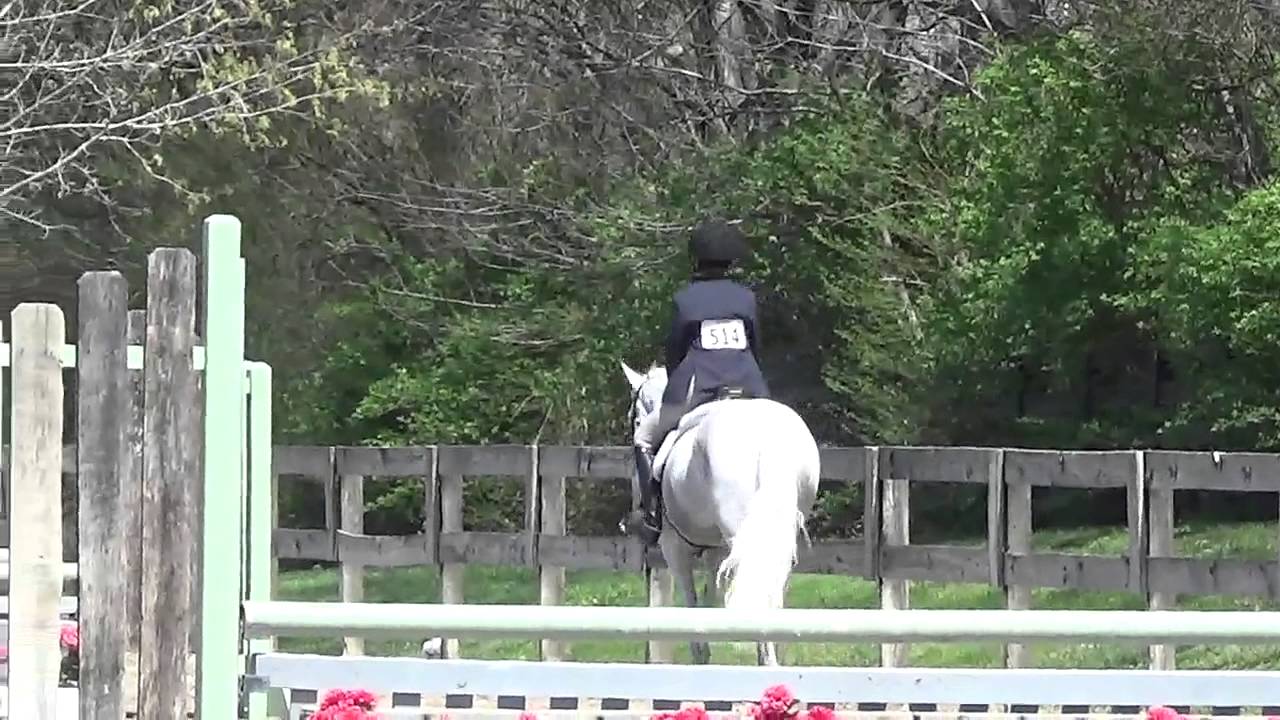 4/4/2015. 12-14, 2'6, flat class - YouTube