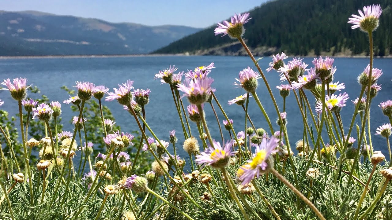 Montgomery reservoir &Falls, Alma, Colorado - YouTube