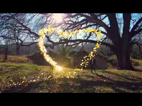 La Grande Quercia di Perano