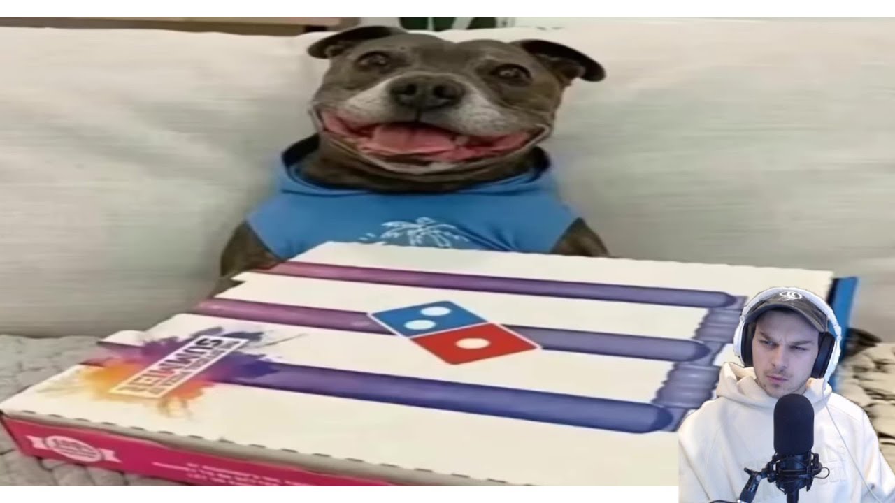 Blarg Reacts To Memes That Were Strangely Wholesome - YouTube