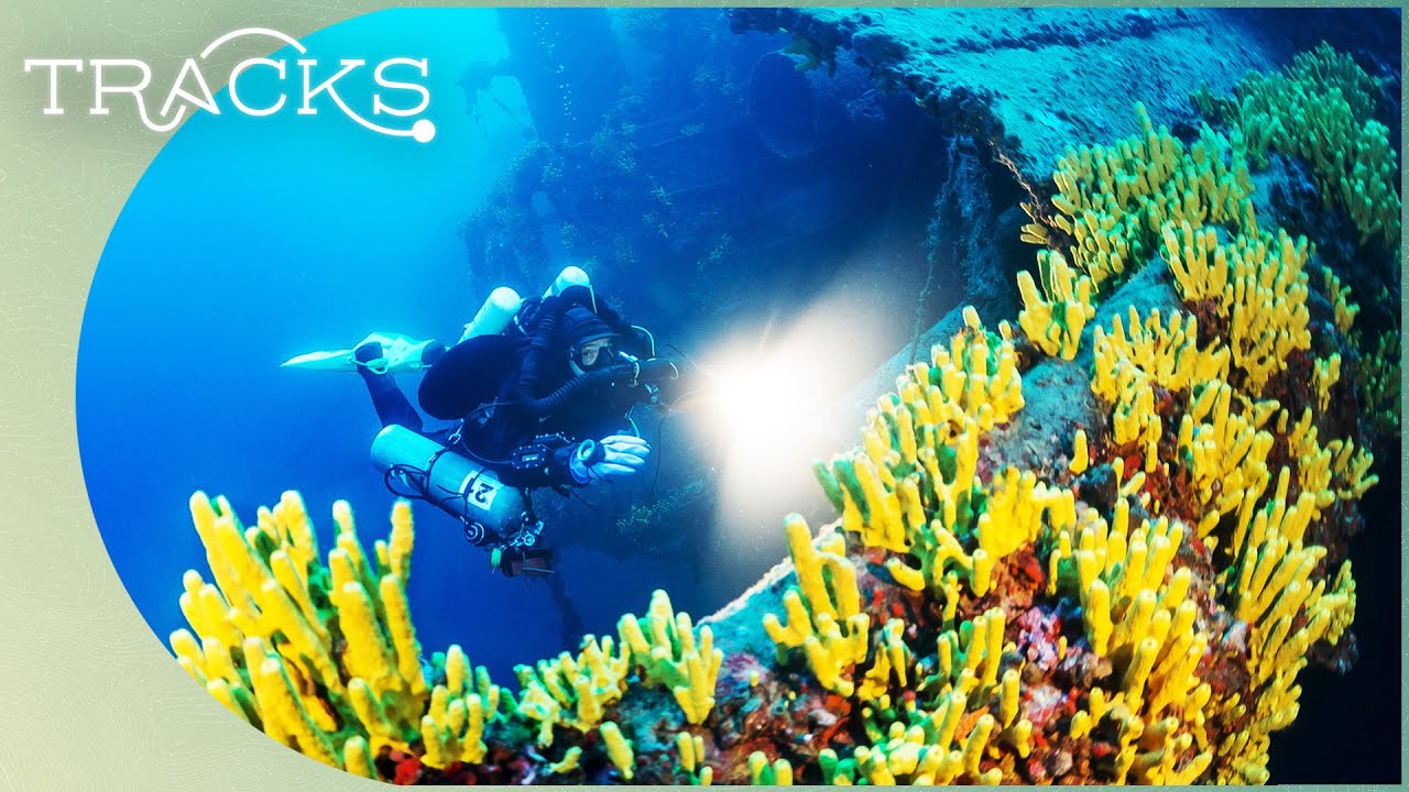 Wreck Diving In Pattaya Thailand | Adventure Or Luxury - YouTube