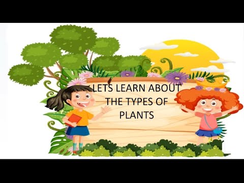 Types of plants for kids| nursery lesson on trees. - YouTube