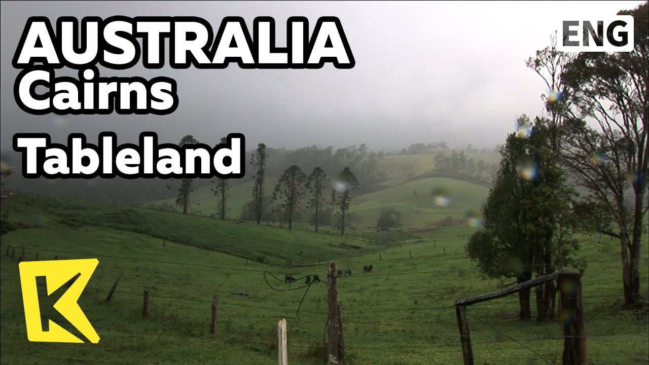 【K】Australia Travel-Cairns[호주 여행-케언스]소들의 땅, 테이블랜드/Atherton Tableland ...