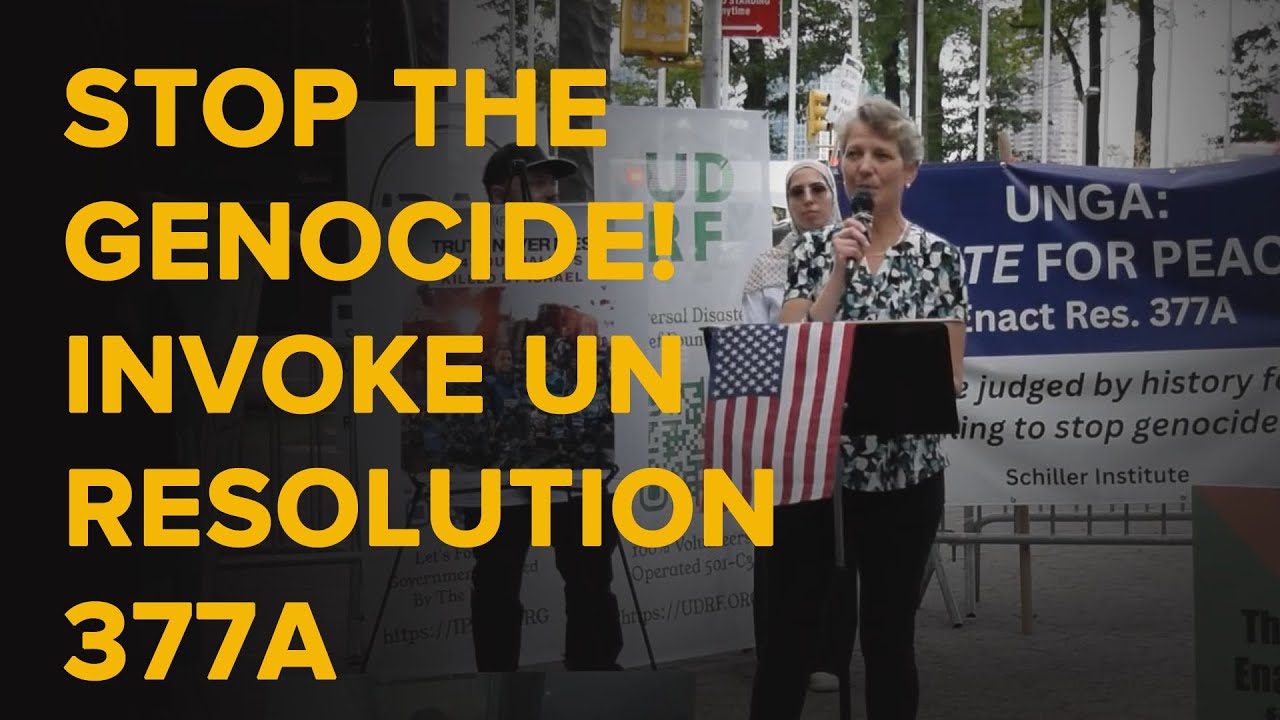 Diane Sare Addresses UN Peace Rally to Enact Resolution 377a - YouTube