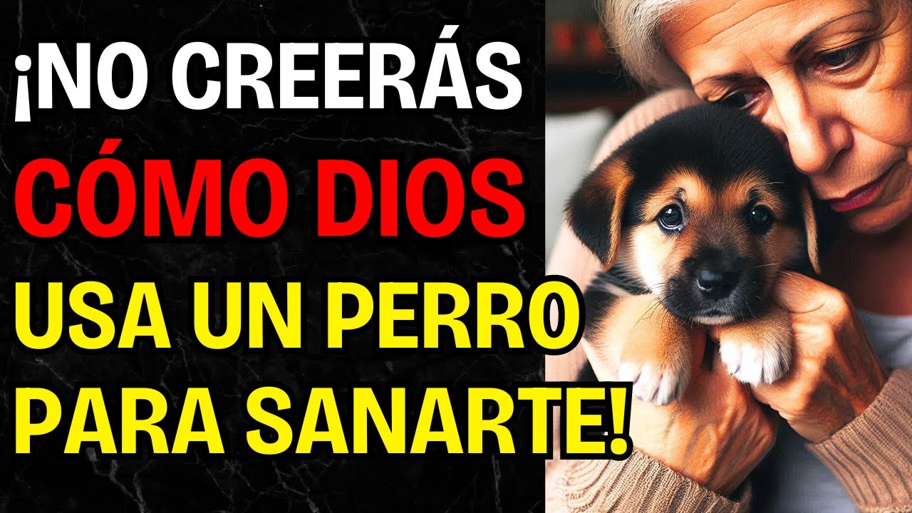 ¡El SECRETO DE DIOS Está en TU PERRITO y Lo Estás IGNORANDO! - YouTube