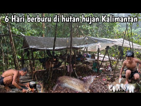 6 hari berpetualang berburu di hutan hujan Kalimantan 