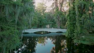 Experience Magnolia Plantations & Gardens