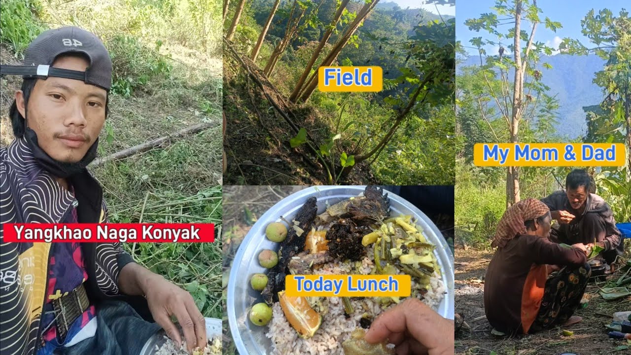 1st day Jhum cultivation for the year 2025 l short video l ...