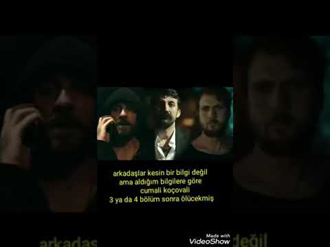 Çukur cumali koçovalı