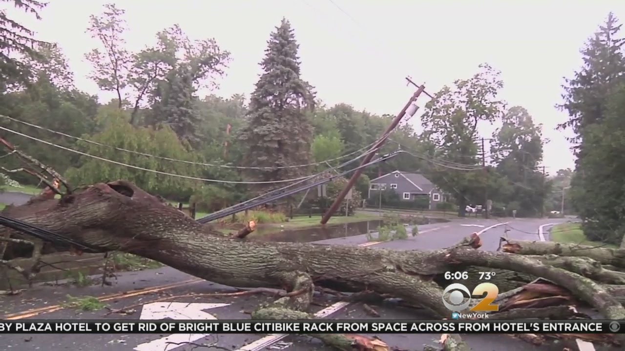 LI Storm Cleanup - YouTube