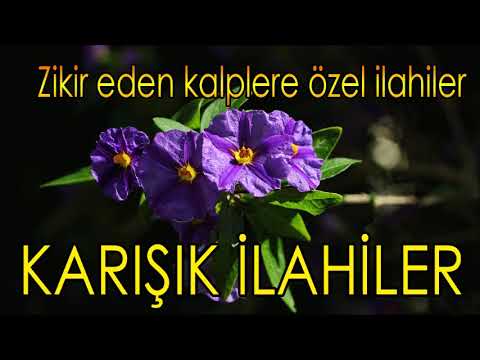 İLAHİLER DİNLE / Huzur Veren İlahiler, Zikir Eden Kalplere Özel Duygu Dolu İlahiler - 2026 İlahi