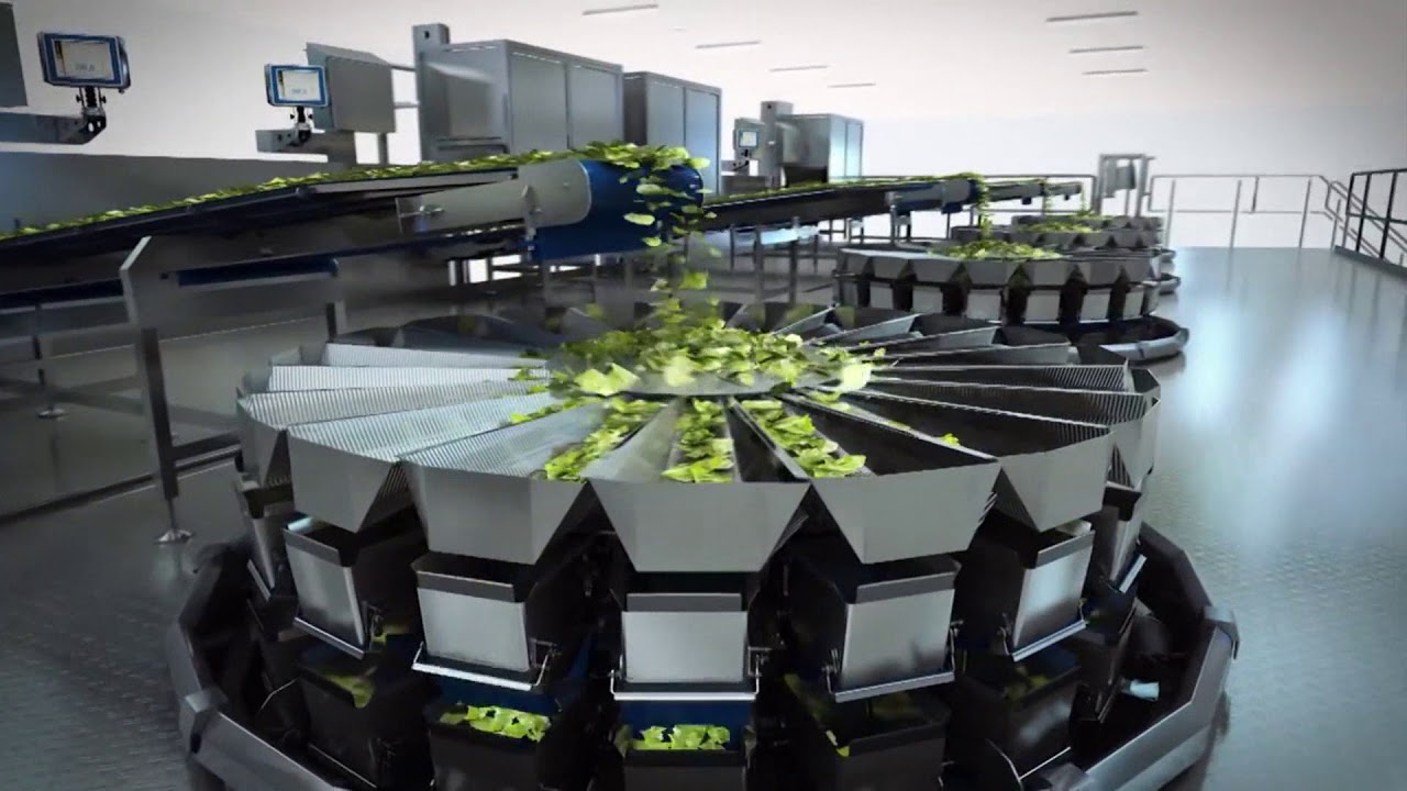 MULTIPOND Fully automatic salad packaging - YouTube