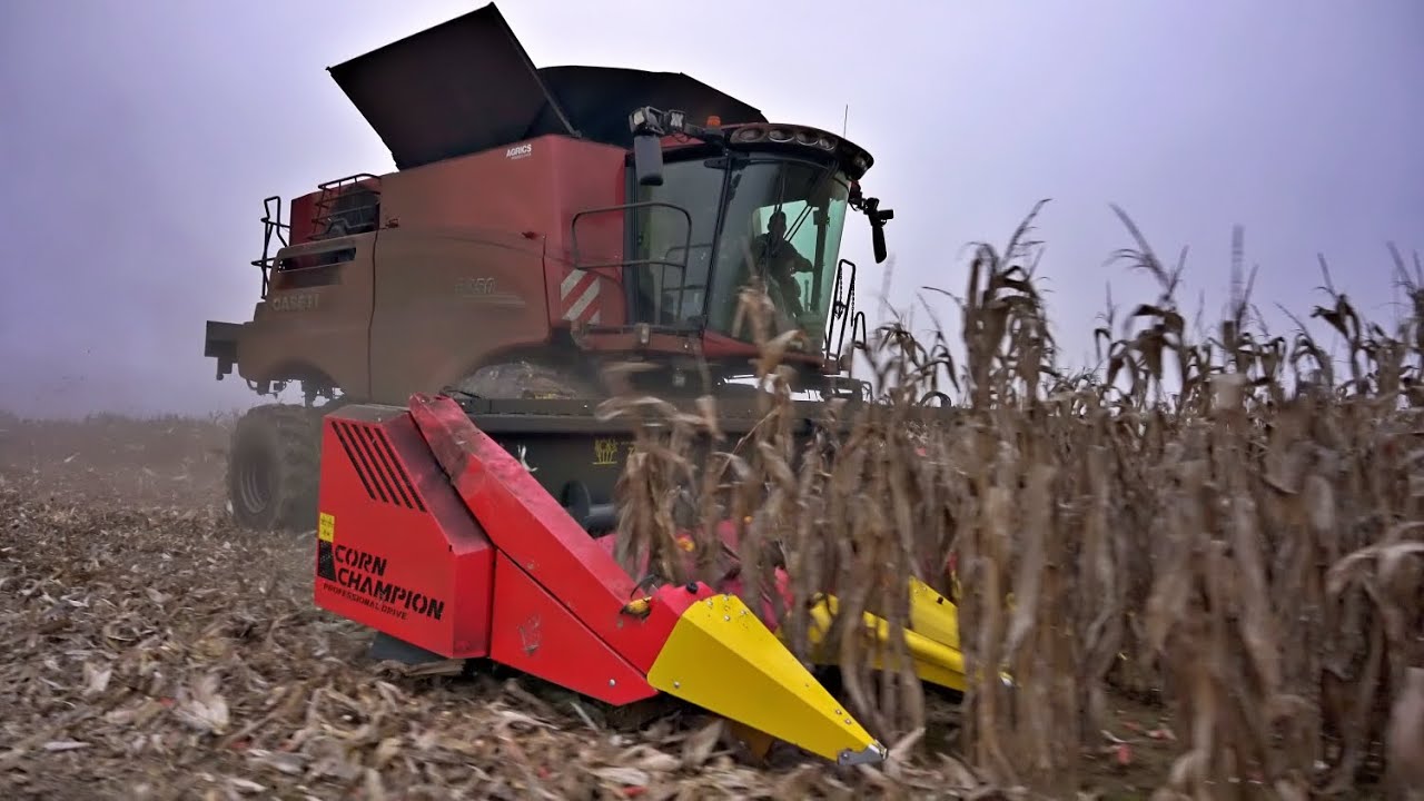 [MOTORSOUND] CASE IH 8250 + 12 rows ZIEGLER Corn Champion | Corn ...