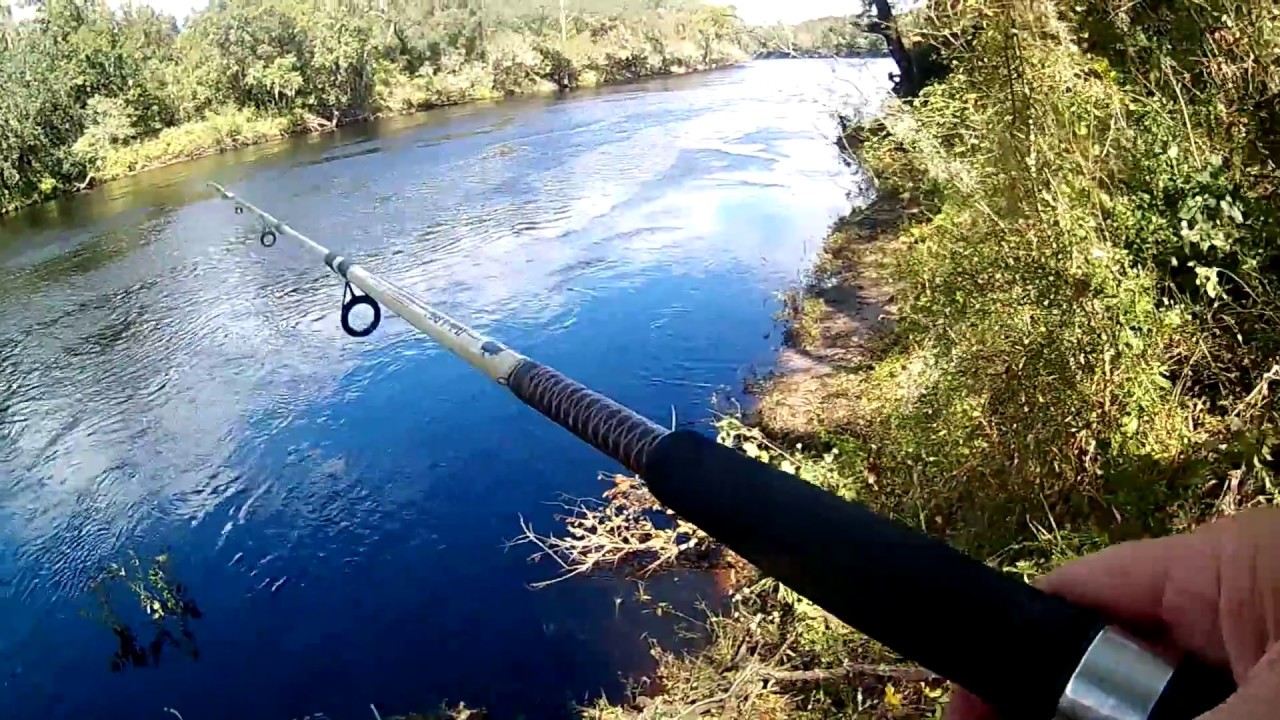 Had a nice big fish on the line - YouTube