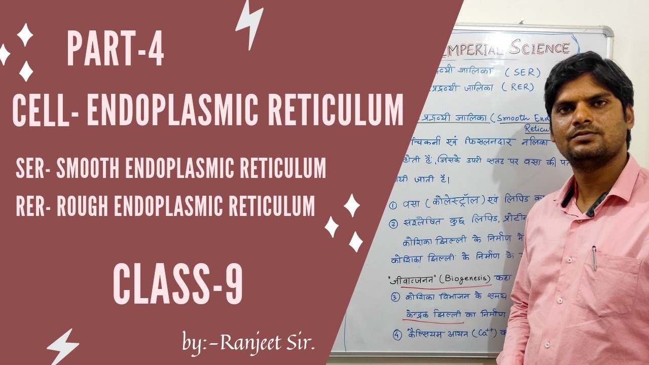 Endoplasmic Reticulum (SER & RER) Introduction & Functions | Part-4 ...