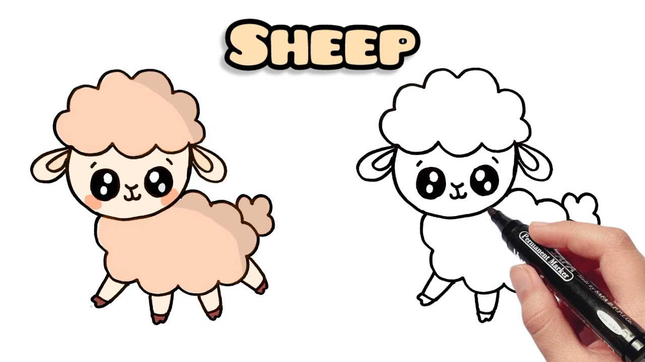 How to Draw a Cute Sheep Very Very Easy - YouTube