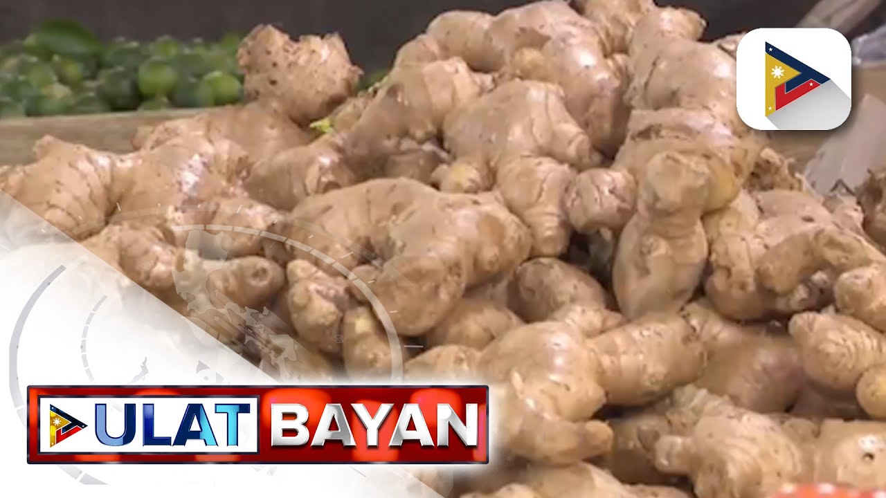 Nueva Vizcaya, idineklara bilang ‘Ginger Capital of the Philippines’ - YouTube
