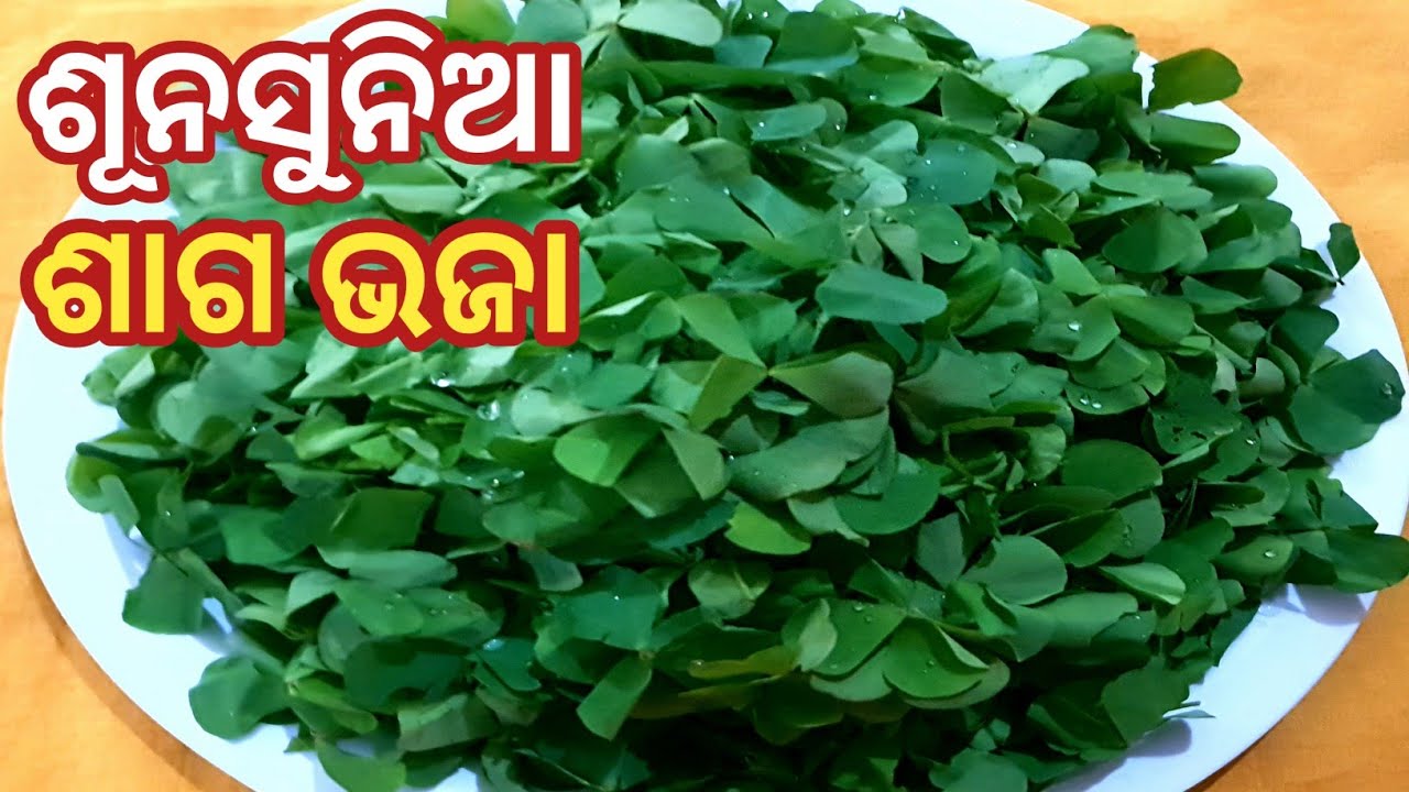 ଶୂନସୁନିଆ ଶାଗ ଭଜା | sunsunia saga bhaja recipe |sunsunia saga kharada ...