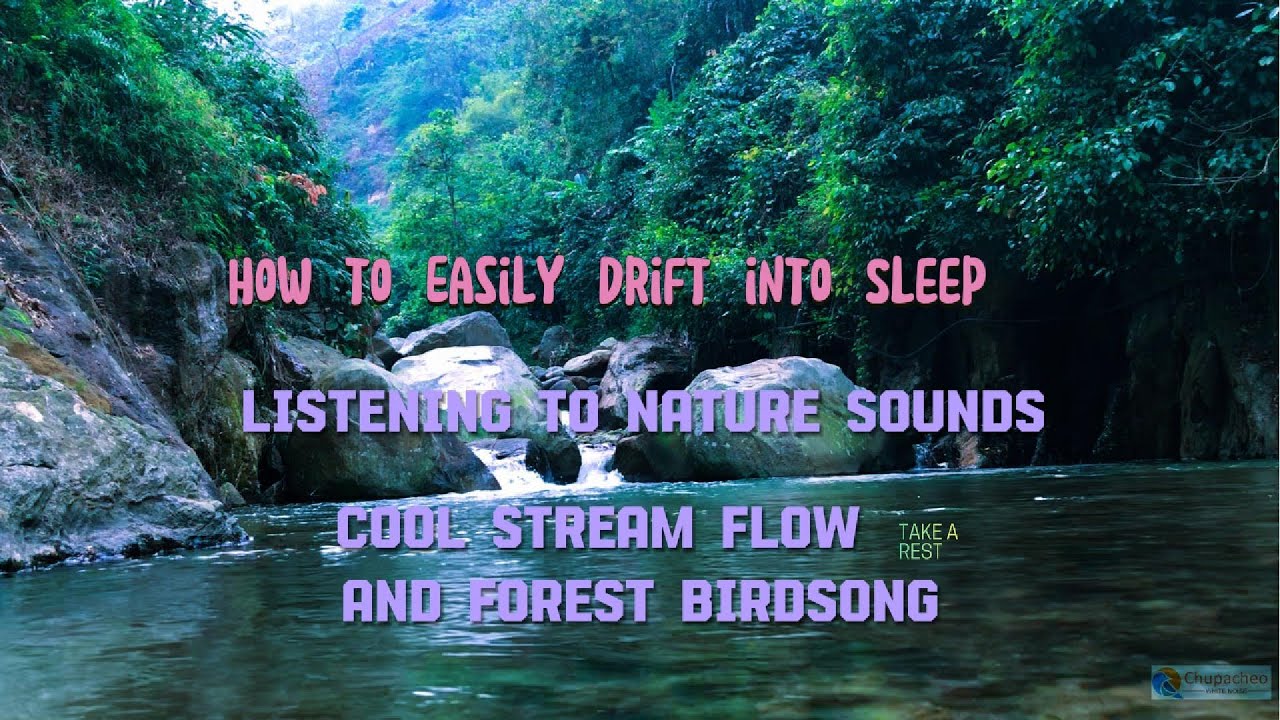 Tranquil Stream Serenade of Stones, Flowing Waters, and Birdsong - YouTube