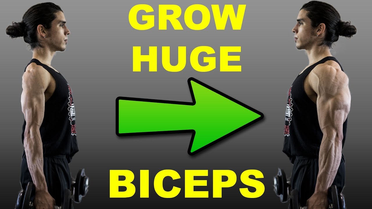 5 Bicep Workouts for SIZE - 2 Day Split (OPTIMIZED TRAINING pt 1) - YouTube