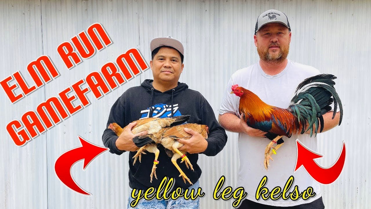 Andrew Bresse of Elm Run Farm/Part 2 - YouTube