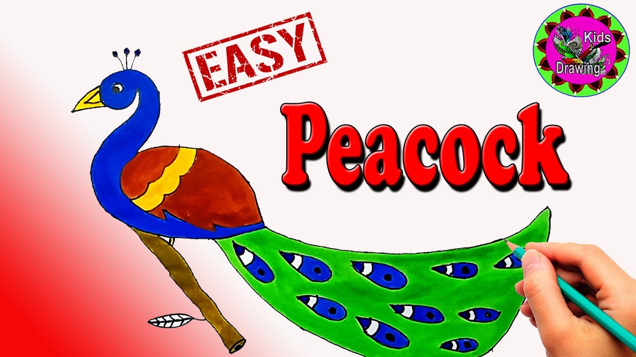 🦚 Peacock Drawing | 🎋 Mayur Ka Chitra | Peacock Drawing For Kids ...