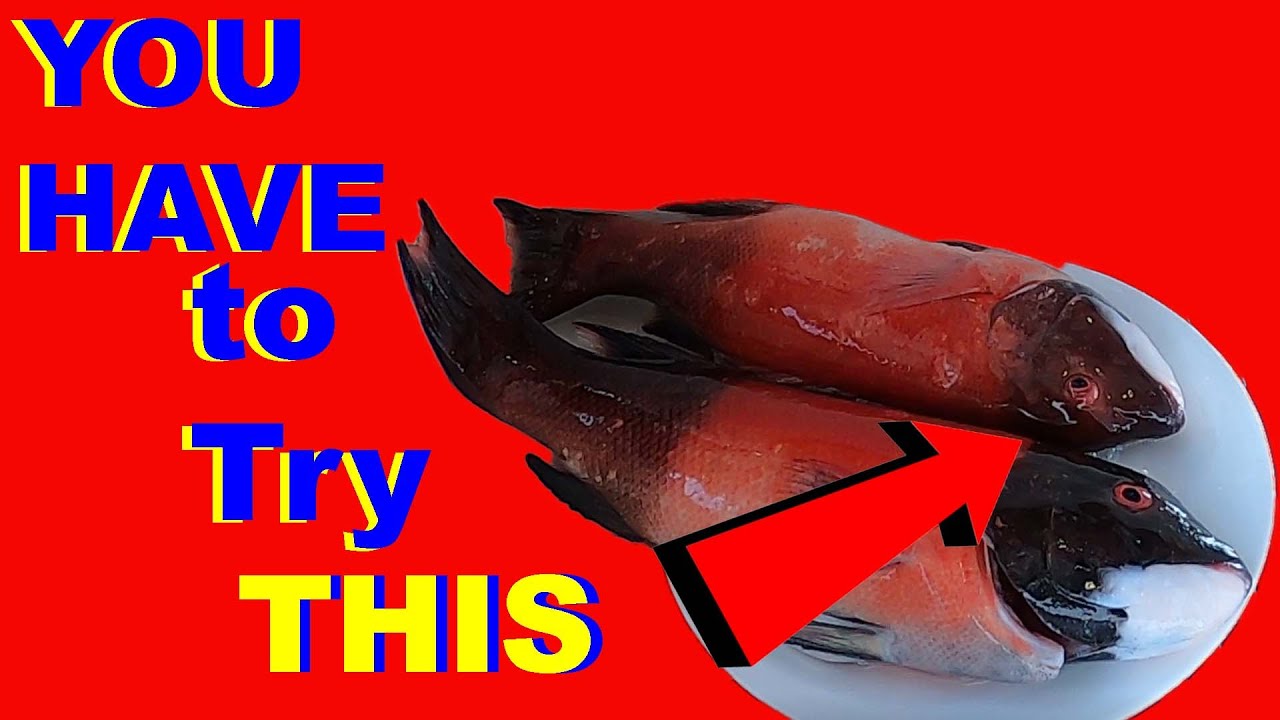 ISDANG BATO/SHEEPHEAD FISH#foodtrip #foodtripvlog #fish #shortsvideo # ...