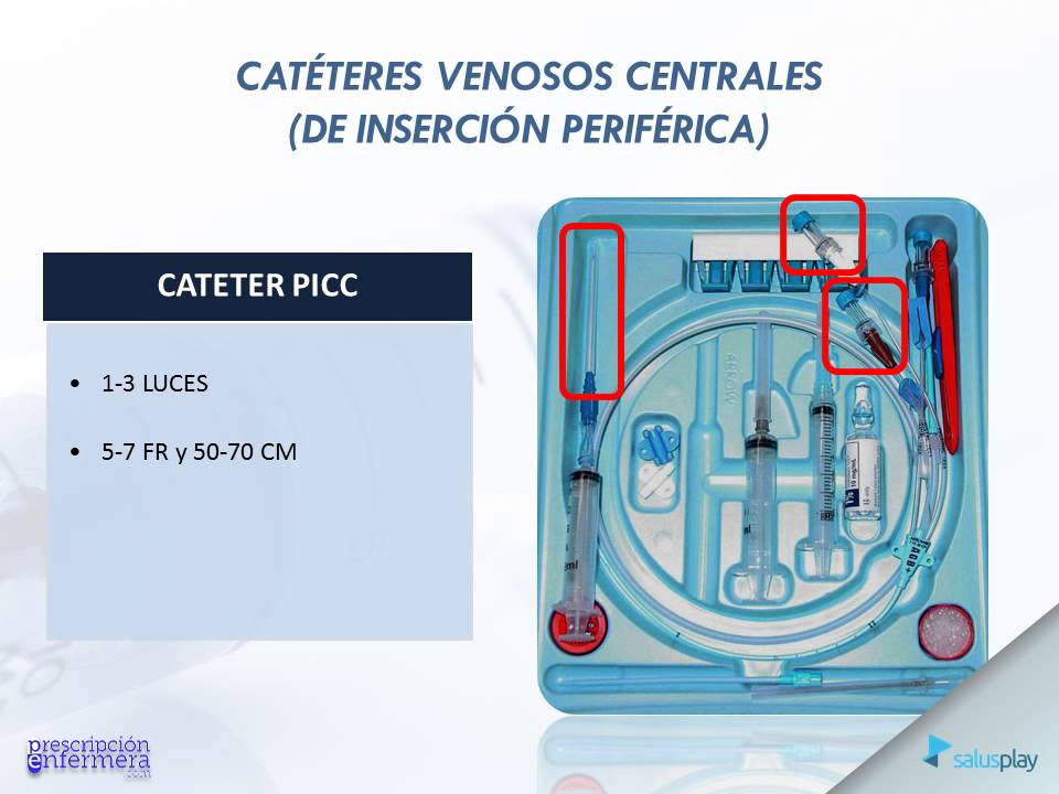 CATÉTERES - YouTube