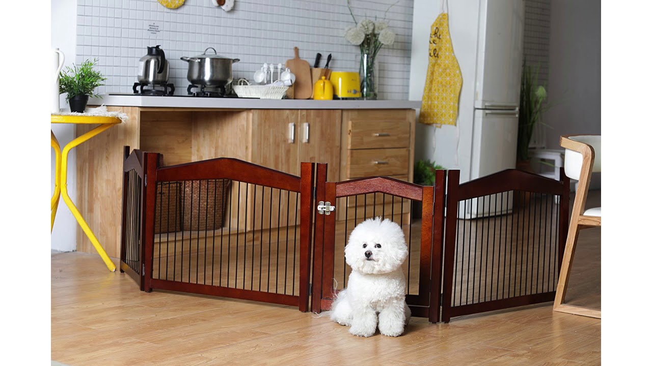 Cocker Spaniel Gates - 5 Of The Best Reviews - YouTube