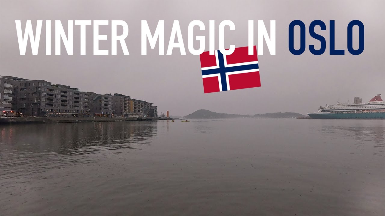A Slav in Scandinavia – Winter Walk in Oslo 🇳🇴 ️ Cold February Day 2025 ...