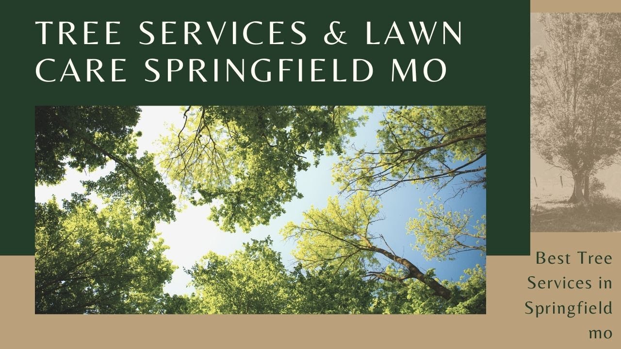 Tree Services Lawn Services Springfield mo-Springfield Tree and Lawn Care Services - 417-409 ...