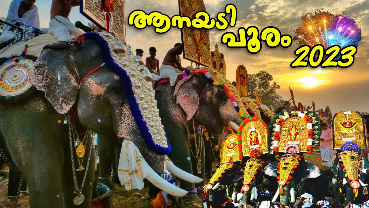 | Anayadi | | Pooram | 2023 | ആനയടി | ഏഷ്യയിലെ ഏറ്റവും വലിയ ഗജമേള # ...