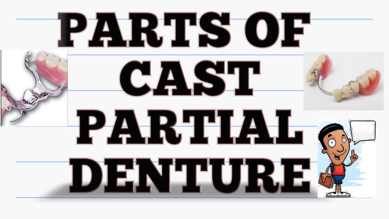 Parts of Cast Partial Denture and functions in brief.. MADE EASY - YouTube