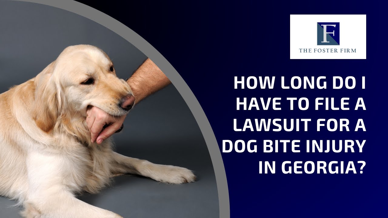How Long Do I Have To File a Lawsuit for a Dog Bite Injury in Georgia ...