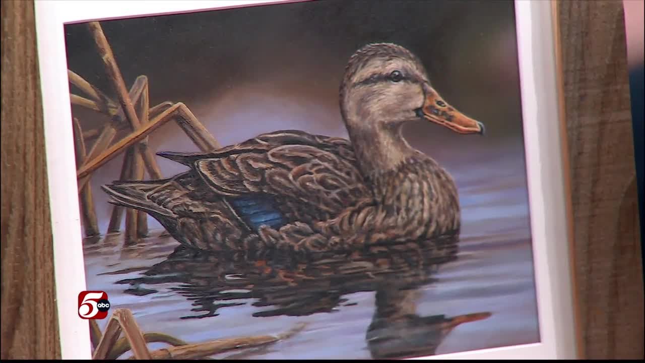 Local Artist enters Federal Duck Stamp Competition - YouTube
